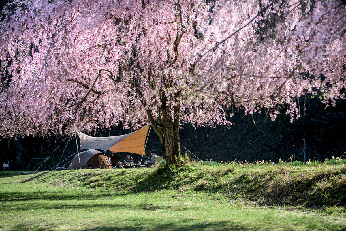 5 Reasons why Camping in the Spring is Awesome — PJ Outdoors